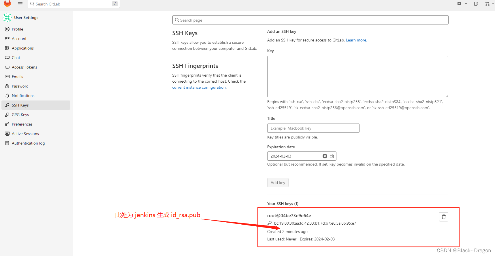 CI/CD 搭建 部署 java 项目 并打成 镜像 运行 全流程_cicd java-CSDN博客
