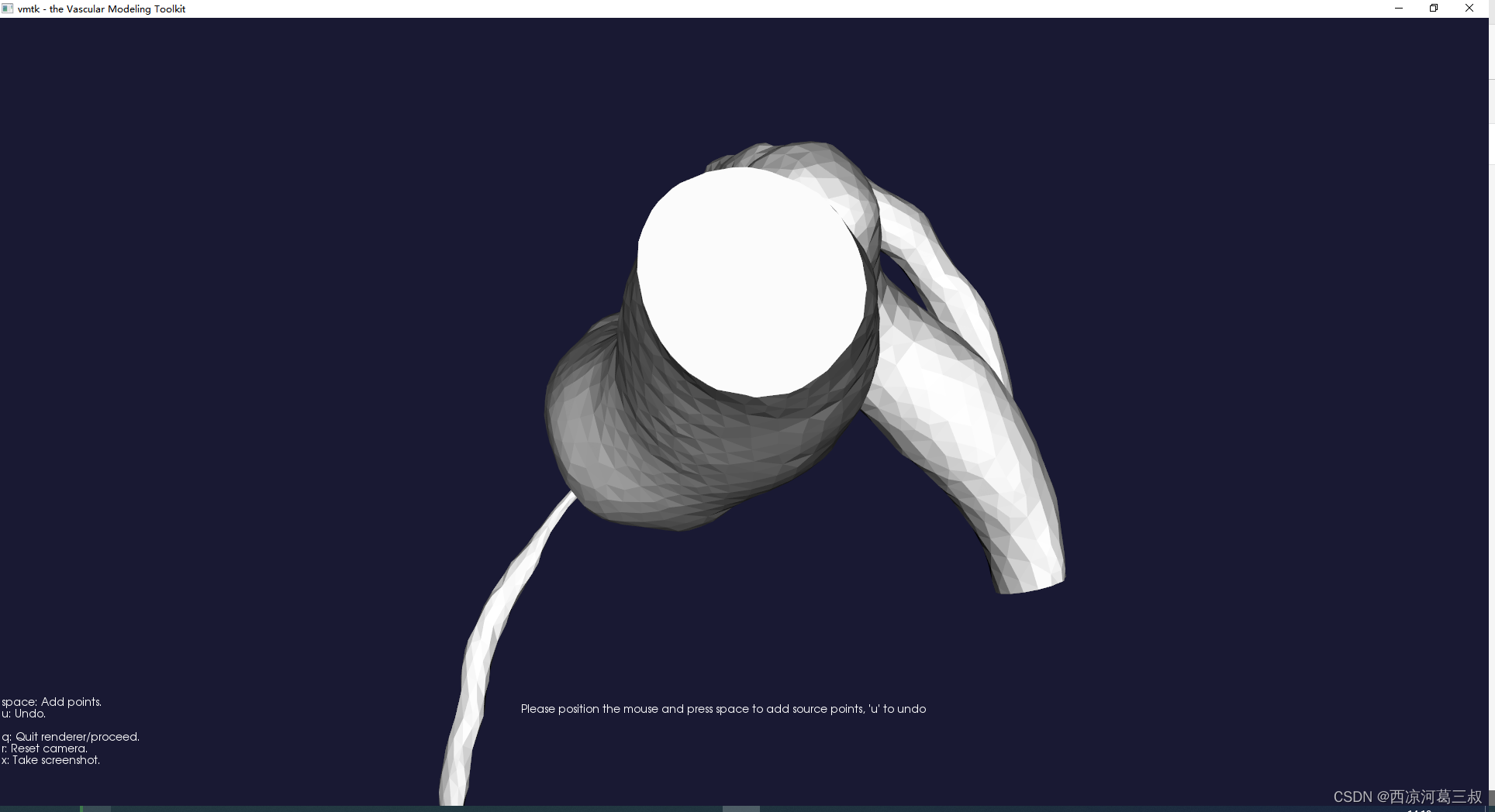 python & vmtk 提取血管中心线_python vmtk 血管中心线-CSDN博客