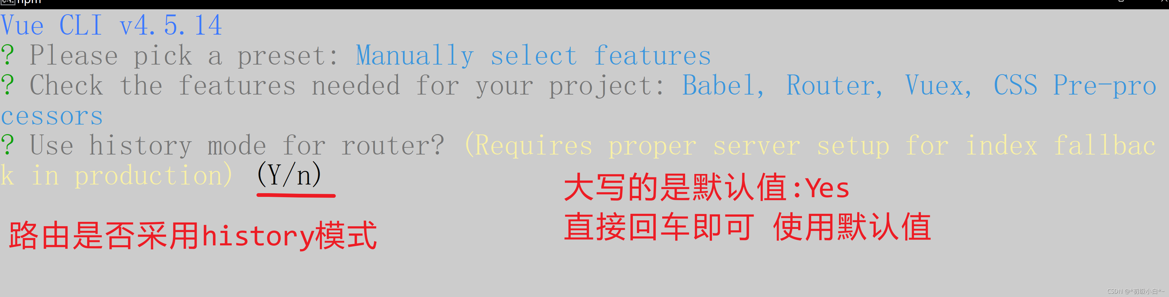 Vue脚手架安装vue Force Csdn博客