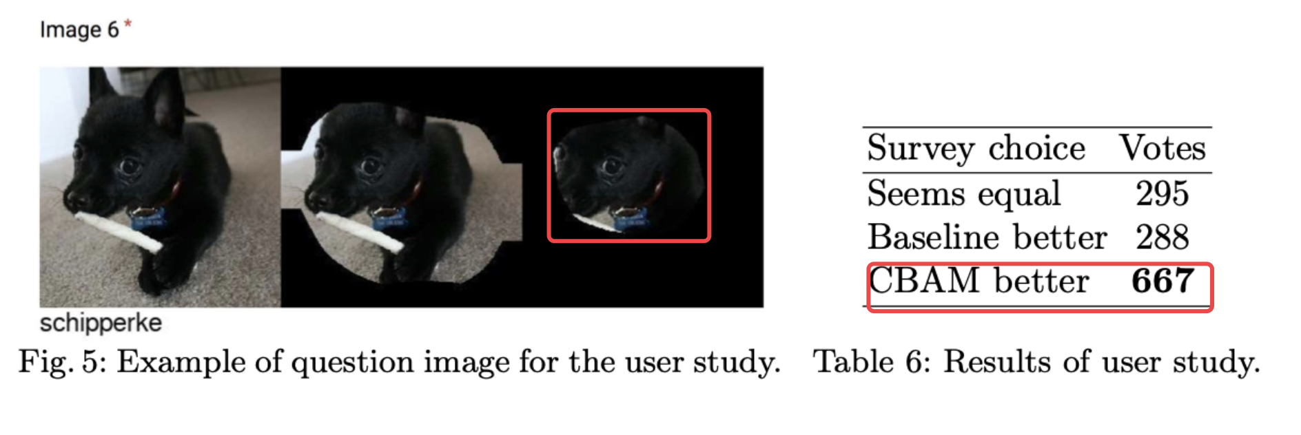 【CBAM Pytorch实现】注意力机制综述阅读推荐_cbam原文-CSDN博客