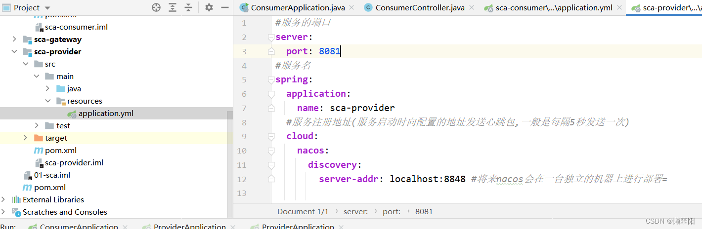 Nacos服务注册中心_his_config_info_懂Java的懒阳阳的博客-CSDN博客