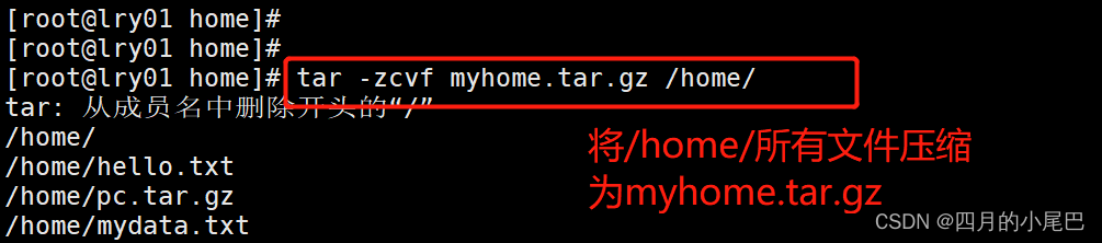 Linux09-指令 时间指令 data cal 搜索指令find locate which grep | 压缩和解压类gzip/gunzip zip/unzip tar_linux怎么用 ...
