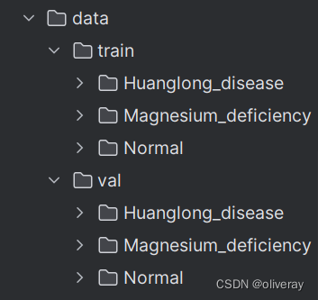 Pytorch基于DDPM+InceptionNext+数据增强的图像分类（二）_ddpm 图像增强-CSDN博客
