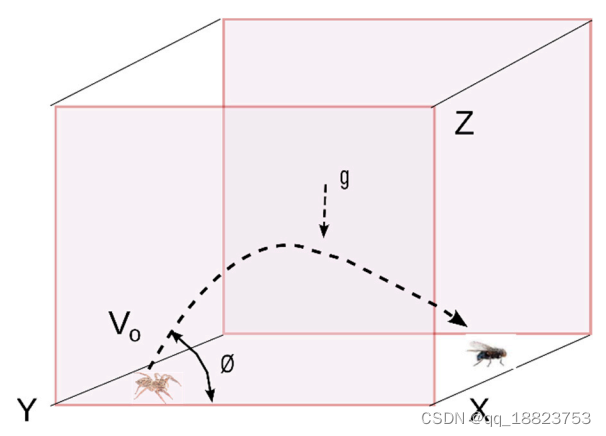 跳蛛优化算法(Jumping Spider Optimization Algorithm, JSOA)_跳跃蜘蛛优化算法-CSDN博客