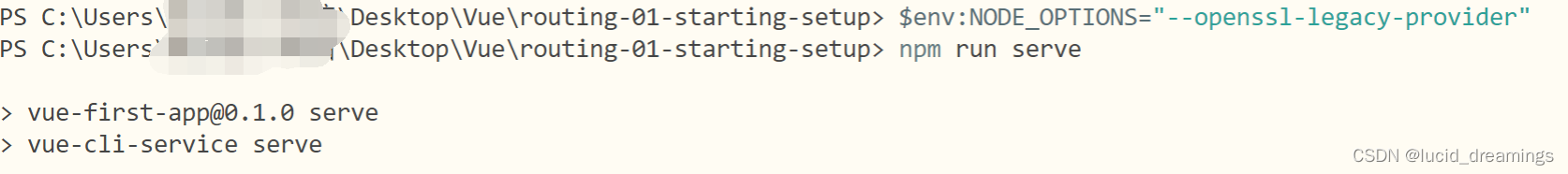 解决vue启动项目问题（run Serve、intall）vue Run Serve Csdn博客 9343