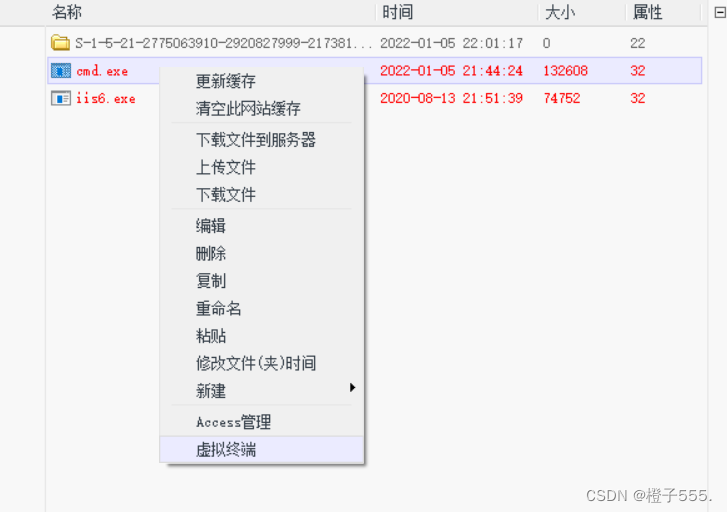 封神台 第五章：SYSTEM！POWER！(webshell控制目标 )_第五章:system!power! 【配套课时:webshell控制目标 实战演练】-CSDN博客