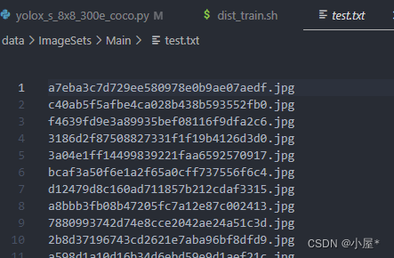 Mmdetection: yolox训练自己的VOC数据集_mmdetection yolox tiny 训练-CSDN博客