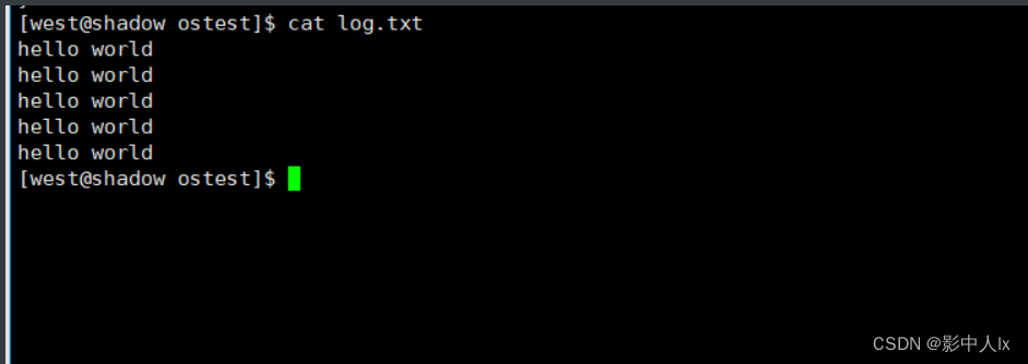 【Linux】基础IO_wrnoh-CSDN博客