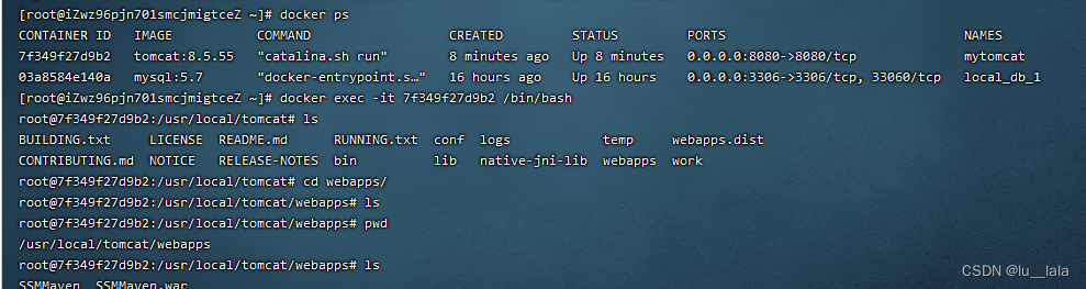 Docker部署SSM项目--全教程-CSDN博客
