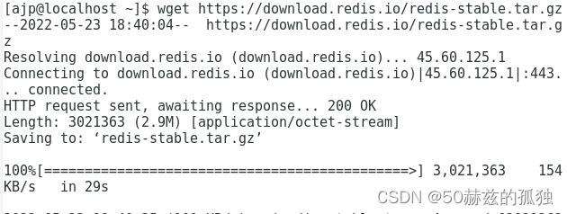 虚拟机（VMware）Linux系统（Centos）安装Redis教程_在虚拟机上运行redis需要安装前置什么-CSDN博客