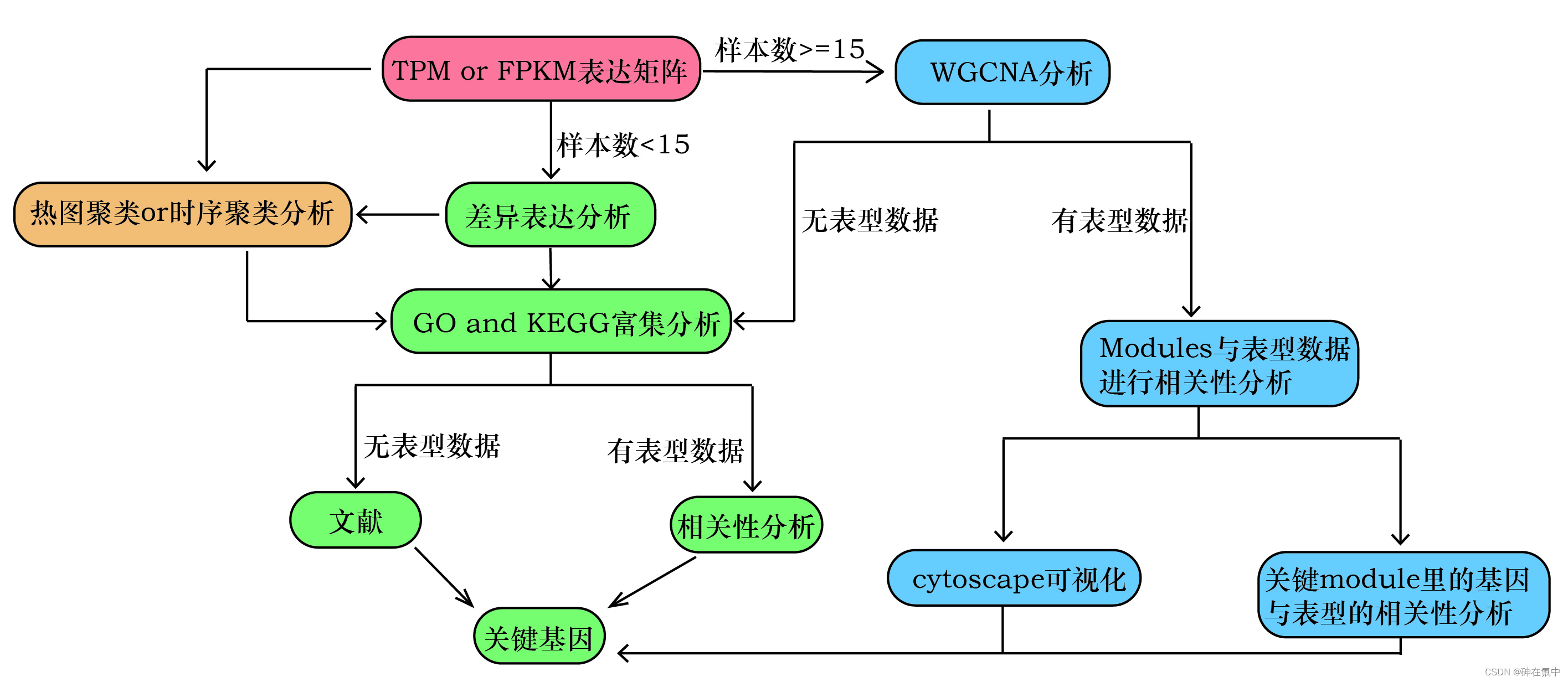 转录组测序（RNA-seq）的数据如何分析？_转录组测序结果怎么分析-CSDN博客