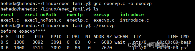 基于linux下的高并发服务器开发（第二章）- 2.6 exec族函数(execl, execlp, execle, execv, execvp, execvpe)_linux execvp ...