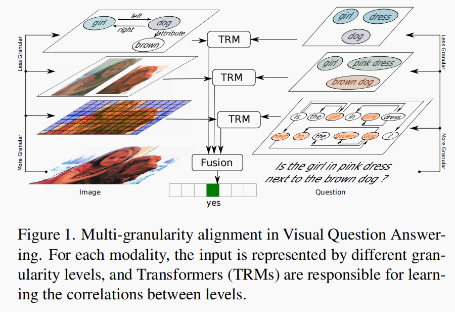 Multi-Granularity Alignment for Visual Question Answering(视觉问答的多粒度对齐)_多模态细粒度对齐-CSDN博客