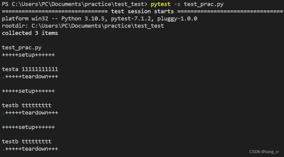 pytest的使用_pytest使用-CSDN博客
