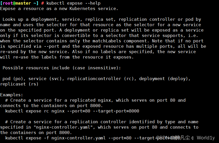 K8S 中 kubectl 命令_kubectl exec -it-CSDN博客