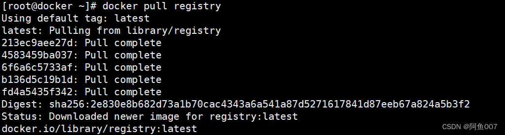 Docker--搭建本地私有仓库_docker 私有仓库 deamon.json-CSDN博客