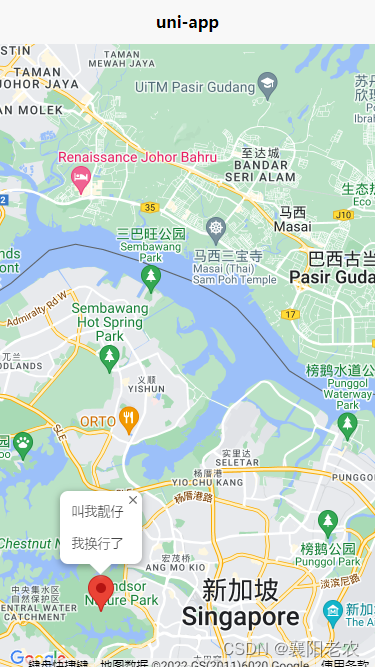 uniapp H5端使用 google 地图 @googlemaps/js-api-loader，文字地点模糊查询，地点省市区详细数据，经纬度信息，markers地图标记点_vue 使用谷歌 ...