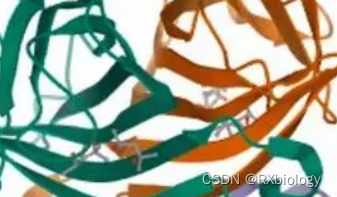 Alexa Fluor 488标记链霉亲和素，AF488-SA，PE标记链霉亲和素，PE/SA_alexafluor 405-链霉亲和素原理 ...