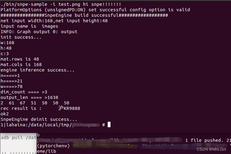 SNPE:基于SNPE的CRNN推理_snpe 推理 cnn-CSDN博客