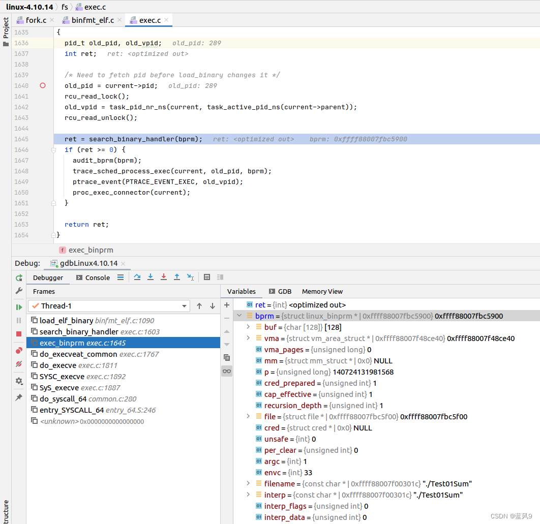 14 elf 文件执行的流程_elf文件怎么运行-CSDN博客