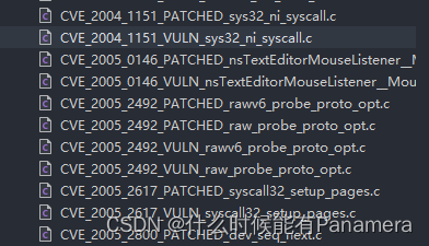 SySeVR中NVD数据集漏洞分析_nvd如何查找漏洞信息-CSDN博客