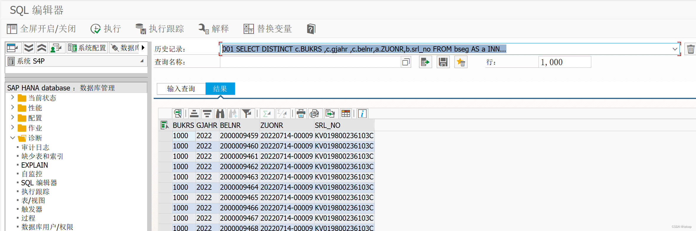 S4不得不知道的SQL查询工具DB01_sap 数据库查询 类似sql studio-CSDN博客