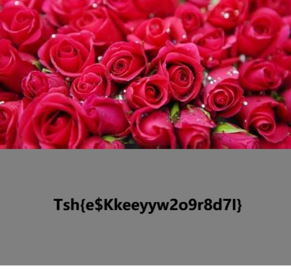 bugku misc-小美的秘密_u2fsdgvkx18qyg4wuetwtffwxkvgunudax-CSDN博客