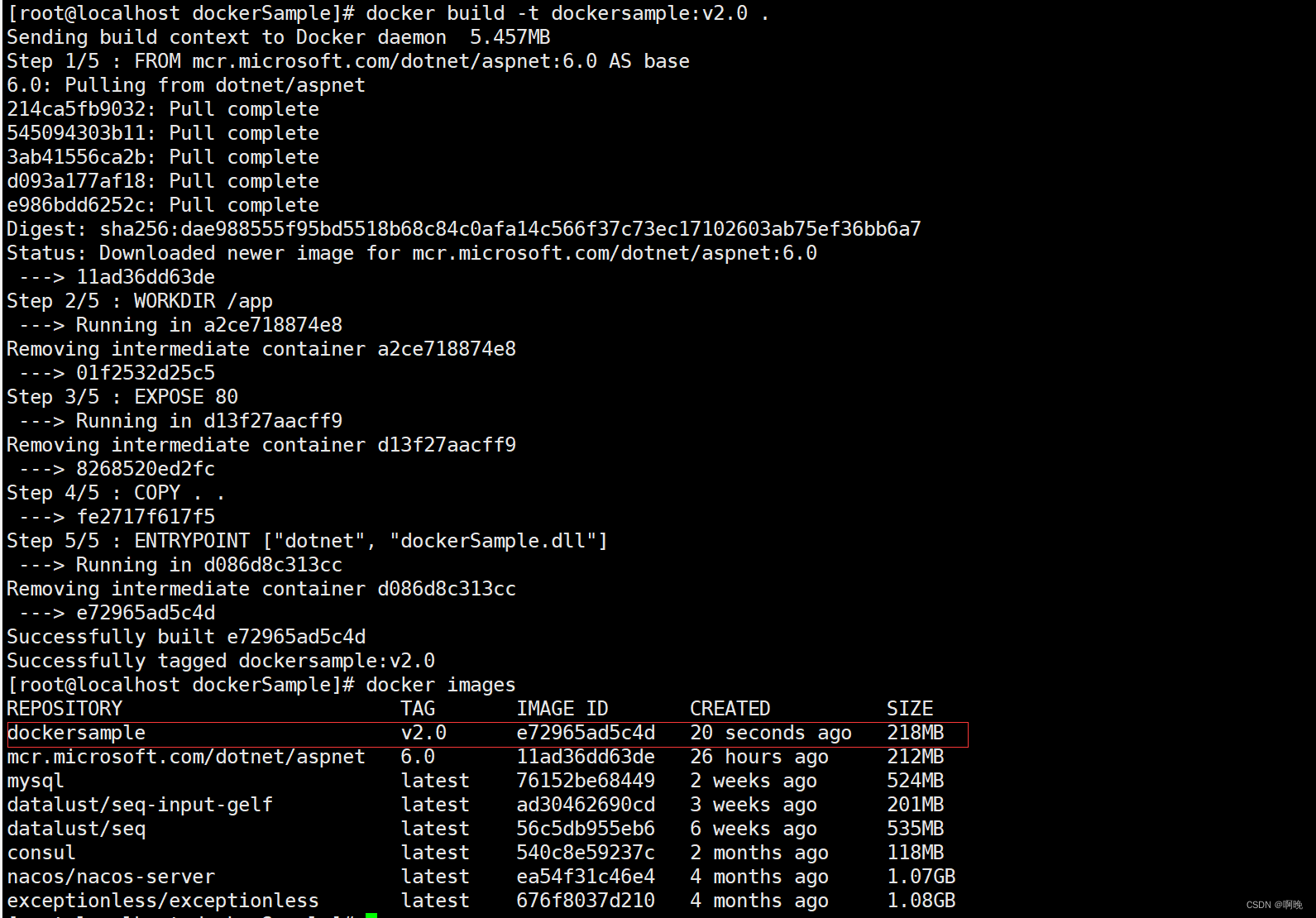 容器技术—.net core on docker_.net core 2.2使用docerk运行_啊晚的博客-CSDN博客
