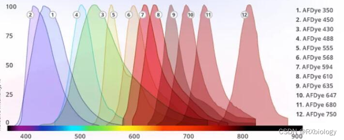 Alexa Fluor 546标记卵清蛋白，Alexa Fluor 546-OVA可视化和跟踪卵清蛋白_alexa fluor ova-CSDN博客