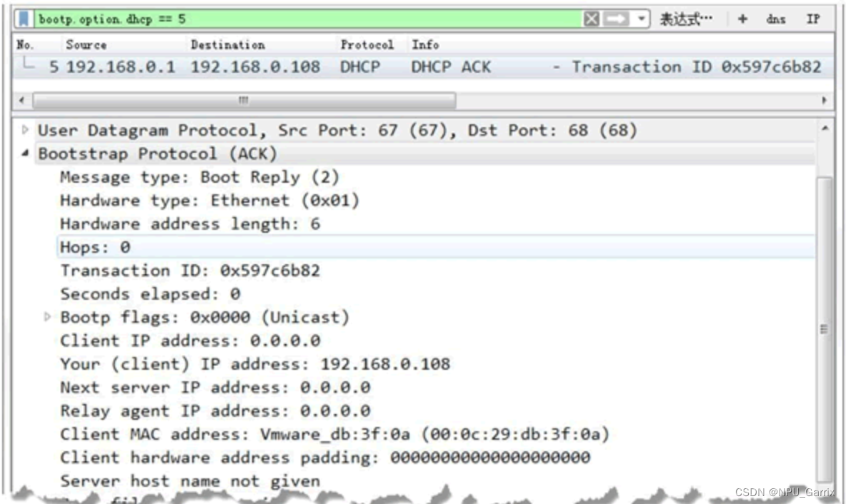 DHCP协议及报文详细解读_dhcp报文分析-CSDN博客