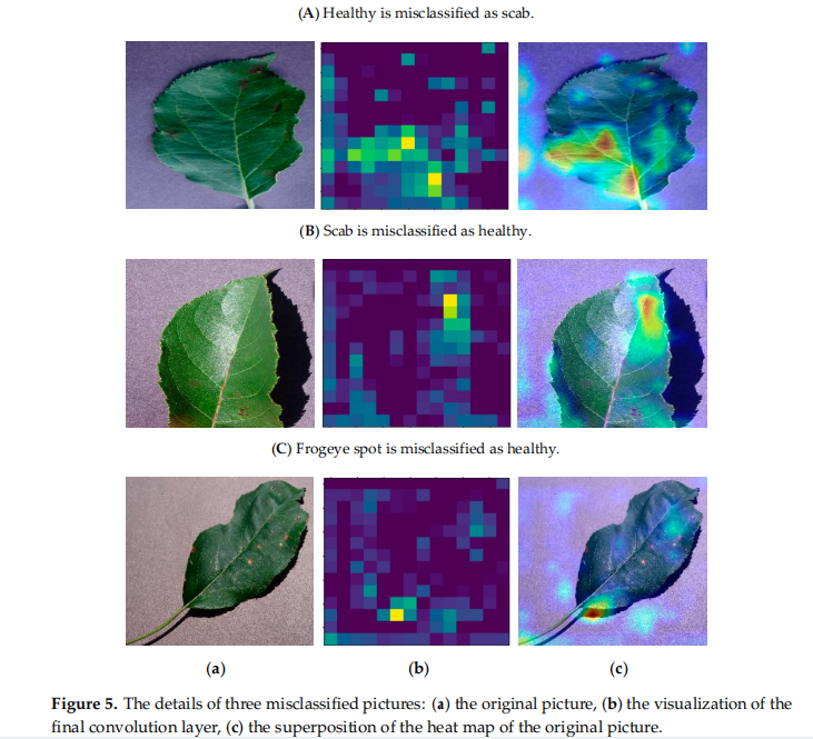 Paper翻译：《Apple Leaf Diseases Recognition Based on An Improved ...
