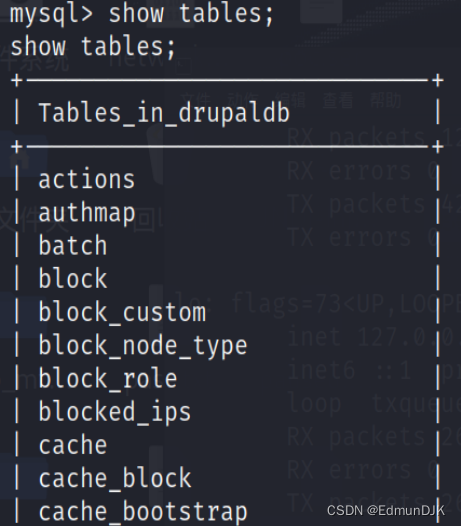DAY29（DAY30拓展）：Vulnhub--靶机实战_actiontec mi424wr-gen3i wap-CSDN博客