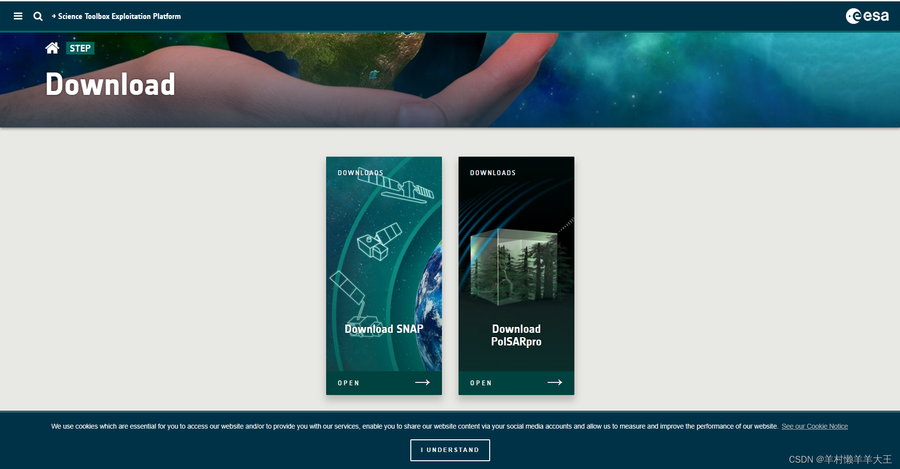 GIS遥感专栏03：Sentinel-2影像获取及处理流程_哨兵影像-CSDN博客