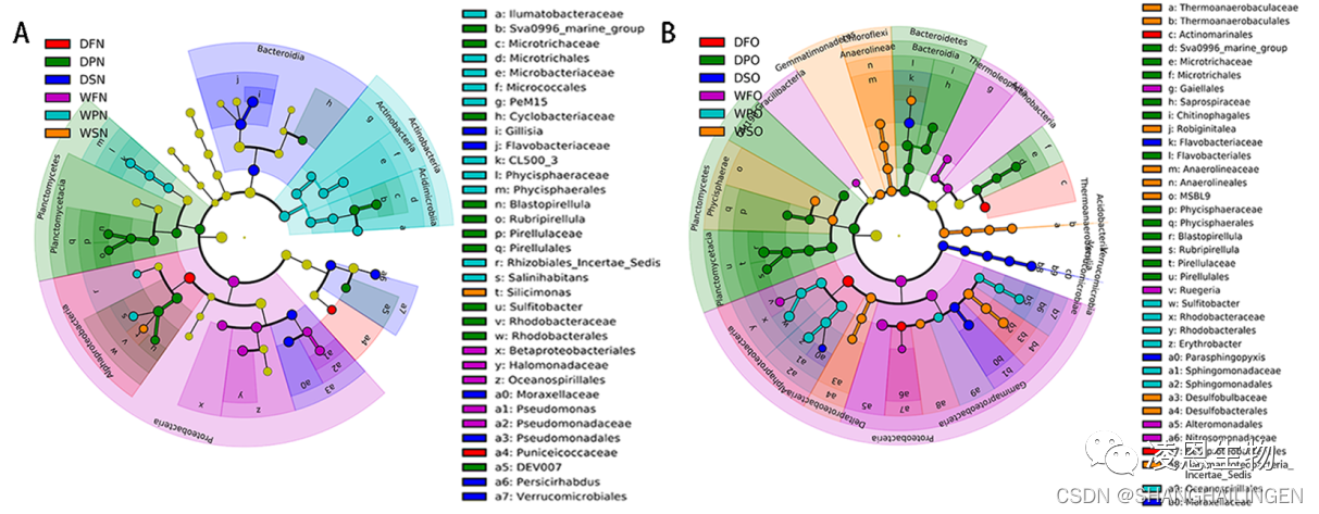 16S rRNA全长测序揭示中国重度污染河口细菌群落的时空动态_全长16srrna测序-CSDN博客