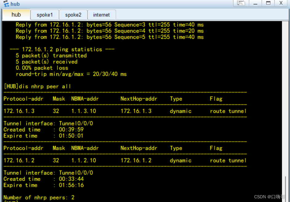 配置非shortcut方式Dynamic Smart Virtual Private Network（静态路由）-CSDN博客