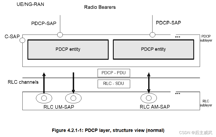 NR PDCP协议-CSDN博客