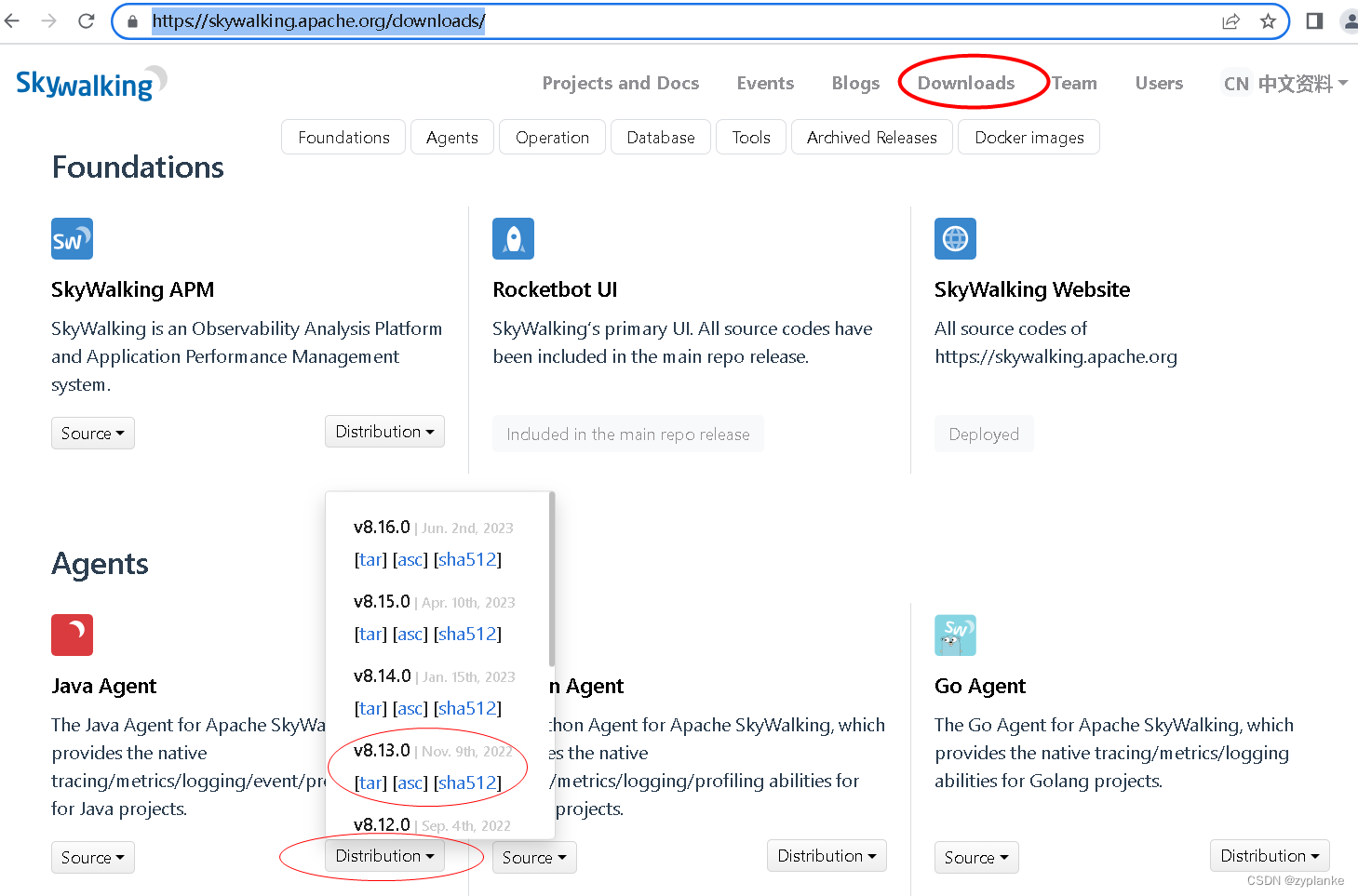 7.SpringCloud：Skywalking链路追踪和OpenTracing对接_springcloud skywalking-CSDN博客
