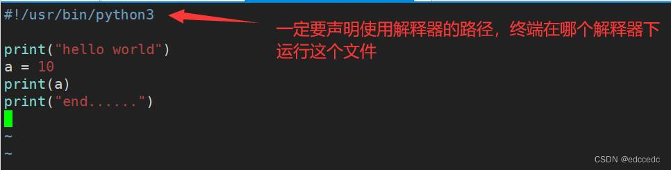 在linux 里执行python 文件以及执行文件提示权限不够的解决方法脚本权限不够 Csdn博客