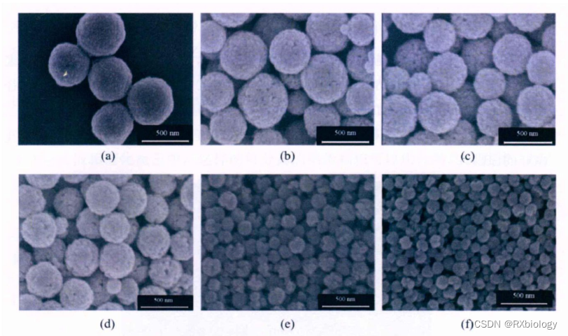生物相容性PEG coating Fe3O4 nanoparticles（70nm），聚乙二醇PEG包裹四氧化三铁70nm-CSDN博客