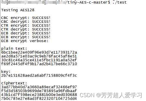 【gcc编译相关问题】_tiny-aes-c-CSDN博客