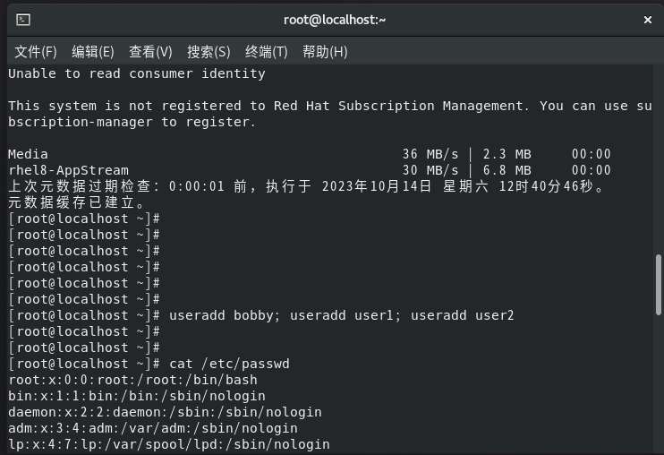 番外8---项目(管理用户和组)_1.用户管理准备工作:新建用户bobby、user1、user2, 将用户user1 和user2加-CSDN博客