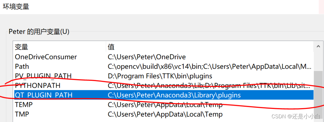 安装mathpix的时候报错this Application Failed To Start Because No Qt Platform Plugin Could Beinitialized