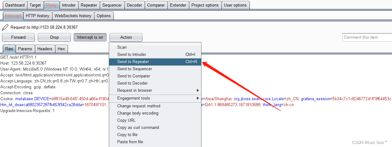 Apache Solr 远程命令执行漏洞复现（CVE-2017-12629）_OidBoy_G的博客-CSDN博客
