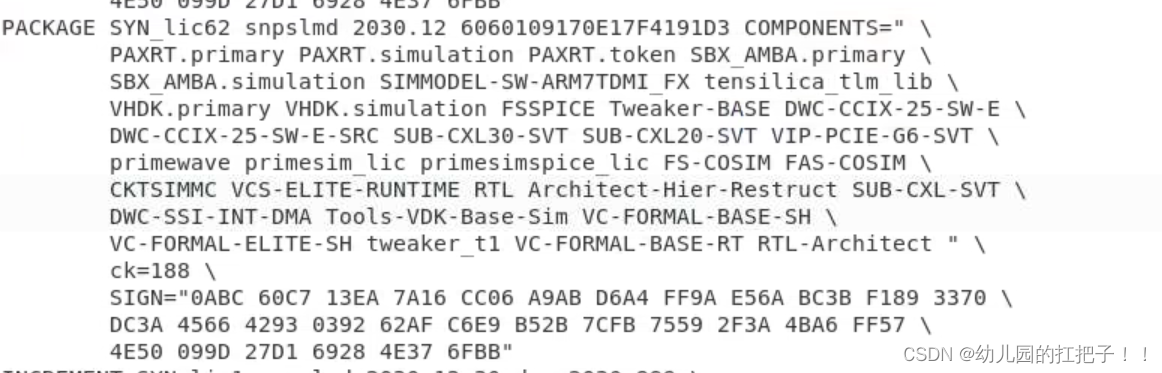 Synopsys license启动_synopsys license generator-CSDN博客