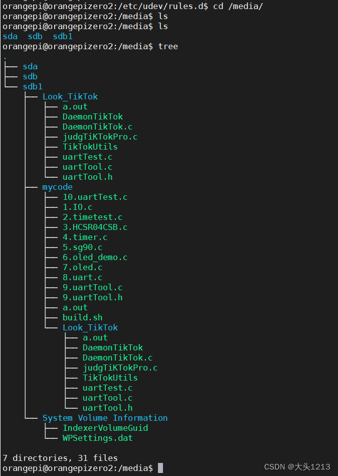 Linux的热拔插UDEV机制 / 守护进程_udev开机自启动-CSDN博客