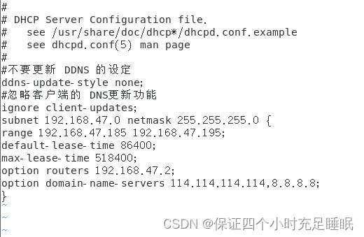 【网安基础之Linux系统Ⅵ】DNS服务器和Apache服务器搭建_rhe18环境下安模 dns 和apache 服务器-CSDN博客
