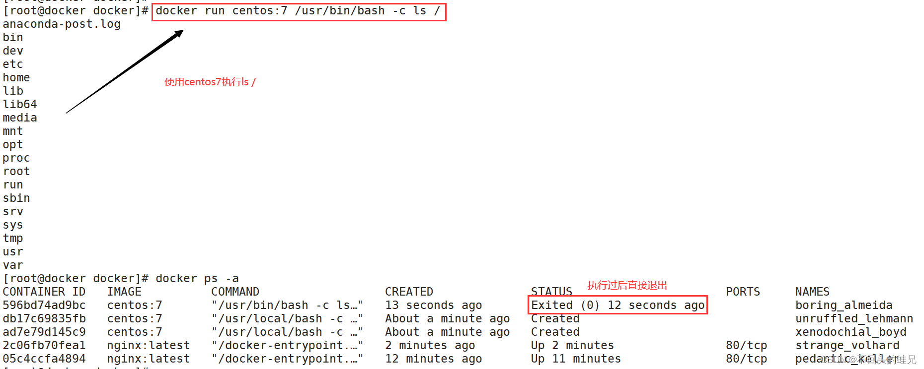 docker容器操作-CSDN博客