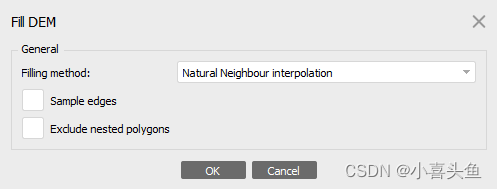 Agisoft Metashape DEM编辑_metashape导出dem设置-CSDN博客